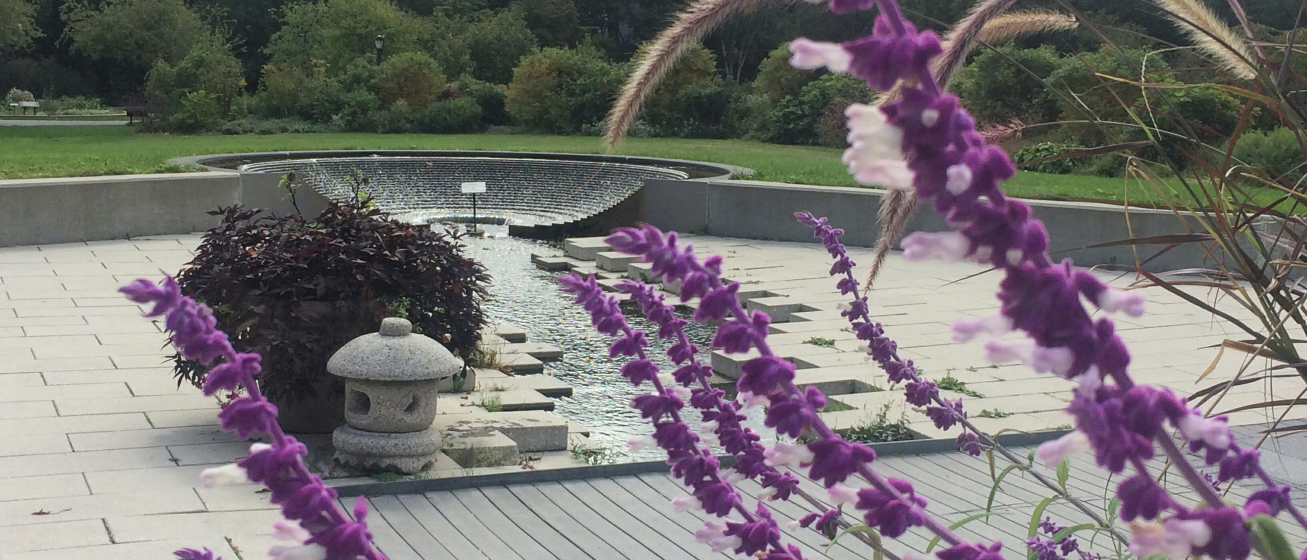 Architecture as Advocacy: A tour of QBG's Visitor & Administration ...